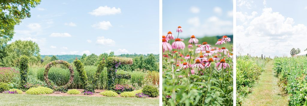 Market at Grelen Photos | Charlottesville Engagement Photos ...